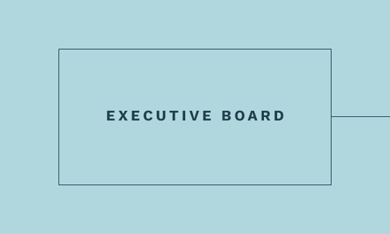 Executive board